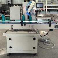 China Automatic 2 Head Pet Bottle Bleach and Toilet Cleaner Liquids Filling Machine with Convey Line for sale