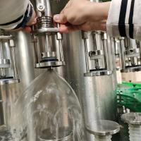 China Rotary Liquid Filling Machine 2000 BPH Glassbottle Juice Vacuum Filler Fruit Vinegar Bottle Filling for sale