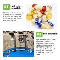 China Automatic Wine Glass Bottle T-Cork Press Capper Full Auto Push T-shape Stopper Capping Sealing Machine for sale