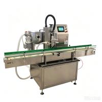 China Automatic Single Head Servo Rotor Pump Filling Machine for Paste, Oil and Other Viscous Materials for sale