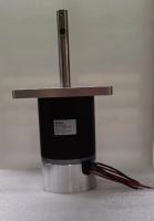 China Electric High Torque Automotive BLDC Motor 3 Phase for sale