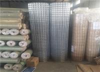 China 2x2 Inch Galvanized Welded Wire Mesh Roll - 50.8mm x 50.8mm Opening with 12-16 BWG Wire Diameter for sale