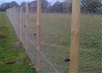 China Electric Galvanized Chicken Wire Mesh 2