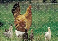 China PVC Coated Green Hexagonal Wire Mesh 0.8-2.6mm Wire Diameter for Chicken Fencing and Agricultural Use for sale
