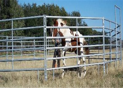 China 48mm OD Heavy Duty Galvanized Cattle Fence Panel - 1848mm Height with 360-Degree Full Welding for sale