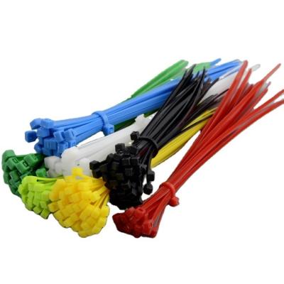 China 2.5*100mm 4*300mm Plastic Pa66 4