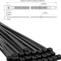 China 2.5*100mm 4*300mm Plastic Pa66 4