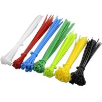 China 2.5*100mm 4*300mm Plastic Pa66 4