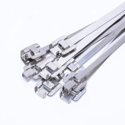 China Durable Self-Locking Cable Tie Plastic Coated Metal with Steel and Stainless Steel for sale