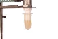 China 100-500 ml 1 filling Head cheese liquid bottle piston filler cream chili sauce paste liquid dish soap weighing filling machine for sale