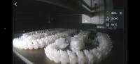 China 3D Printing With Luminous Rainbow Color PLA Filament And Printing Temperature for sale