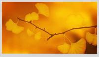 China 16.7m 3H IPS TFT LCD Display 1920x1080 Lvds Interface 30 Pin 21.5 for sale