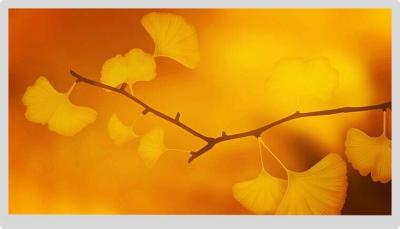 China 16.7m 3H IPS TFT LCD Display 1920x1080 Lvds Interface 30 Pin 21.5 for sale