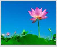 China 250 Nits TFT Color LCD Display 19 Inch 1280x1024 Lvds 30 Pin All Viewing Angle for sale