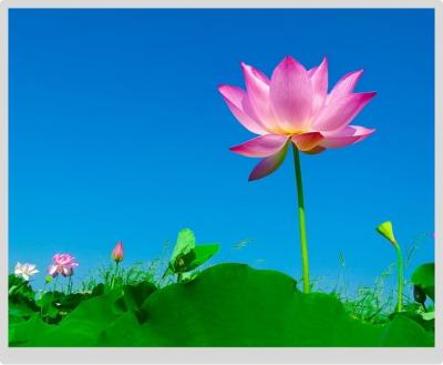 China 250 Nits TFT Color LCD Display 19 Inch 1280x1024 Lvds 30 Pin All Viewing Angle for sale