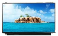 China 1 Lane EDP 1366x768 Display 30 Pin 15.6 Inch TFT Color LCD for sale