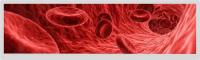 China 19 Inch 1920x360 Bar Type Tft With Lvds Interface 30 Pins 300 Nits for sale