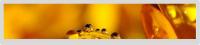 China 21.2 Inch Bar Type Lcd With 1920x360 Ips Viewing Angle Lvds Interface 30 Pins for sale