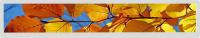 China 1920x290 51 Pin TFT Bar 36.6