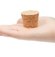 China Clear Glass Bottles with Bottle Stopper Cork Stoppers Clear Glass Bottle Stopper for sale