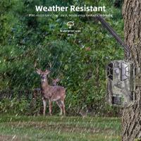 China New 4G LTE IP66 Waterproof Cloud Storage Wireless Cellular Sim Card Outdoor Wildlife Hunting Trail Camera with Microphone for sale