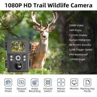 China Newest HD 1080P Trail Hunting Camera IP66 Waterproof Wildlife Camera Outdoor Trap Game Trail Camera Night Vision Animal Monitor for sale