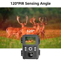 China Factory Direct 720P HD Trail Hunting Camera Outdoor Wildlife Waterproof IR Night Vision Trail Camera Animal Trap Mini Camera for sale