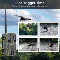 China Trail Camera 2.7K Outdoor Game Camera with  Night Vision Motion Activated IP56 Waterproof for Hunting 4G LTE Wireless Cellular for sale