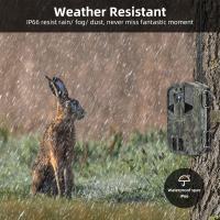 China Trail Camera 2.7K Outdoor Game Camera with  Night Vision Motion Activated IP56 Waterproof for Hunting 4G LTE Wireless Cellular for sale