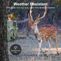 China Newest HD 4K 48MP Trail Hunting Camera 2.0 Inch TFT Screen 0.5S Trigger Time IP66 Waterproof Wildlife Camera with Night Vision for sale