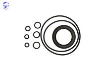 China Rexroth A2FM125 Seals Hydraulic Pilot Pump Repair Kit Seal Kit 125cc for sale