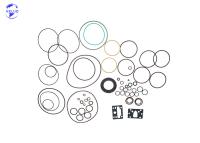 China Rexroth A4VG Series Hydraulic Piston Pump Repair Seal Kit A4VG45 A4VG56 A4VG71 A4VG90 A4VG125 for sale
