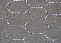 China Hexagonal Wire Mesh - Galvanized & PVC Coated Options in 10mm to 100mm Mesh Sizes for sale