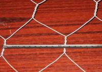 China Hexagonal Wire Mesh - Galvanized & PVC Coated Options in 10mm to 100mm Mesh Sizes for sale