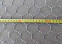 China Hexagonal Wire Mesh - Galvanized & PVC Coated Options in 10mm to 100mm Mesh Sizes for sale