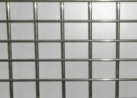 China Galvanized Welded Wire Mesh Panel 2.0-7.0mm Wire Diameter with 300g/m² Zinc Coating for Industrial Applications for sale