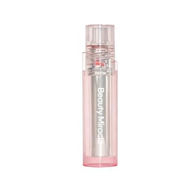 China Customized Cosmetics Supplier logo Lip Gloss Care Vegan Moisturizing Powerful  Ultra-shiny Nourishing Lip Gloss Essential Oil for sale