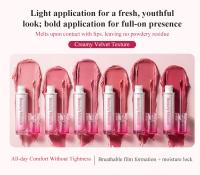 China OEM/OBM/ODM Newly Launched Velvet Matte Lip Gloss Waterproof and Long-lasting Lip Mud Support Color Customized for sale