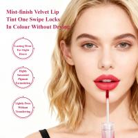 China OEM/OBM/ODM Newly Launched Velvet Matte Lip Gloss Waterproof and Long-lasting Lip Mud Support Color Customized for sale