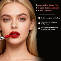 China Private Label Luxury Organic Long Lasting Waterproof Moisture Matte Velvet  Lipstick Waterproof Long Lasting for sale