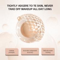 China Cosmetics CC Cream Face Cream Cushion Foundation Private Label Ultra-lightweight Nourishing Foundation Pressed Powder for sale