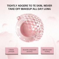 China Long-lasting Makeup Nourishing Skin-brightening Even Moisturizing Oil-controlling Thin and Breathable Cushion Foundation for sale