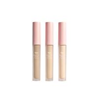 China Full Coverage 24-hour Long-lasting Natural Moisturizing Anti-wrinkle Whitening Mineral Waterproof Sweatproof Liquid Concealer for sale