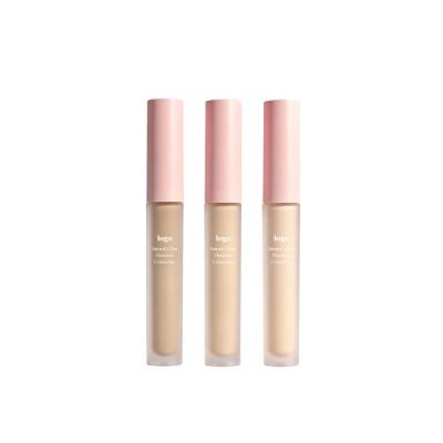 China Full Coverage 24-hour Long-lasting Natural Moisturizing Anti-wrinkle Whitening Mineral Waterproof Sweatproof Liquid Concealer for sale