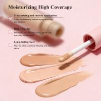 China Full Coverage 24-hour Long-lasting Natural Moisturizing Anti-wrinkle Whitening Mineral Waterproof Sweatproof Liquid Concealer for sale