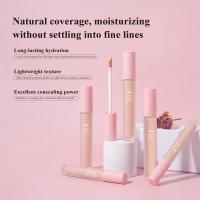China Full Coverage 24-hour Long-lasting Natural Moisturizing Anti-wrinkle Whitening Mineral Waterproof Sweatproof Liquid Concealer for sale