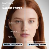 China BM Most Popular 30ml Silicone Makeup Primer Oil Control Long-Lasting Matte Finish Easy Absorption for Artists for sale