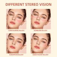 China Professional Cosmetics Manufacturer's Blush Stick Pink Orange Brown Liquid Makeup Face Powder and Cream for People for sale