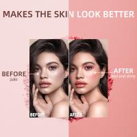 China Professional Cosmetics Manufacturer's Blush Stick Pink Orange Brown Liquid Makeup Face Powder and Cream for People for sale