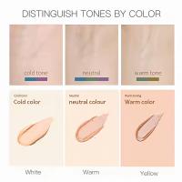 China Private Label Professional 24H Long-Lasting Full Coverage Soft Matte Foundation Waterproof Oil Control Concealer for sale